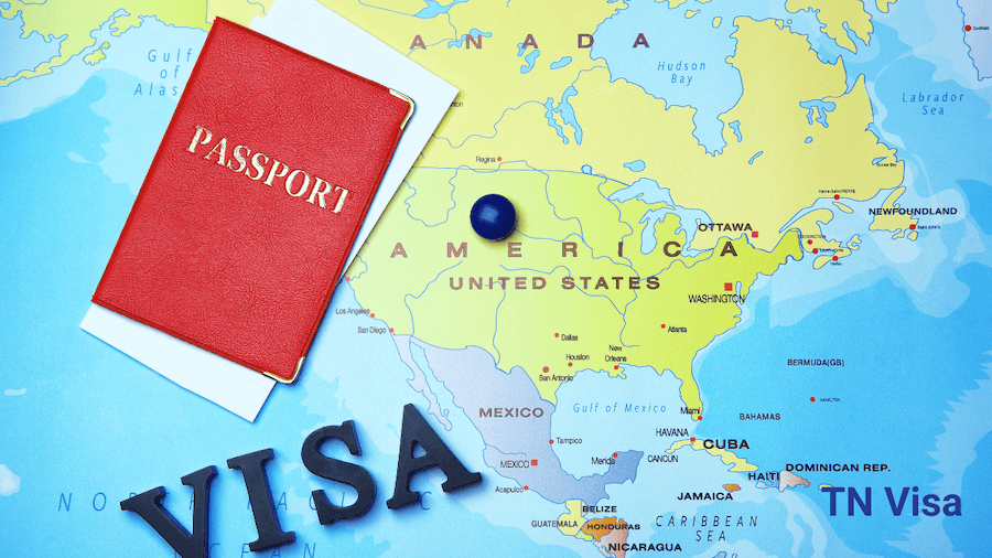 TN - NAFTA Professionals